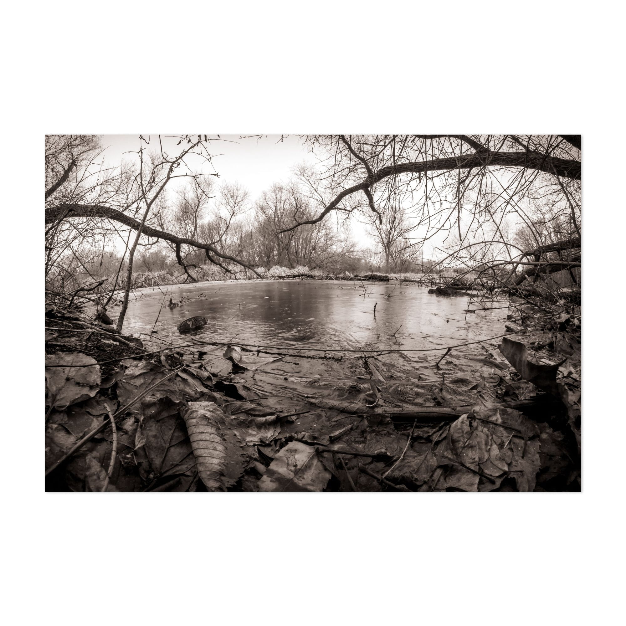 Dark Pond - Photography Black and White Winter Nature Woodland Scenic ...