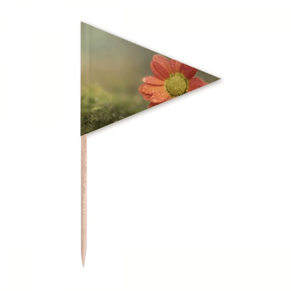 Dark Red Beautiful Flowers Toothpick Triangle Cupcake Toppers Flag ...
