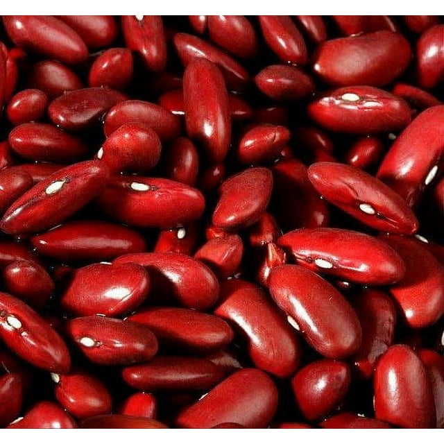 Dark Red Kidney Bean Seeds - 100 Seeds - Heirloom - Walmart.com