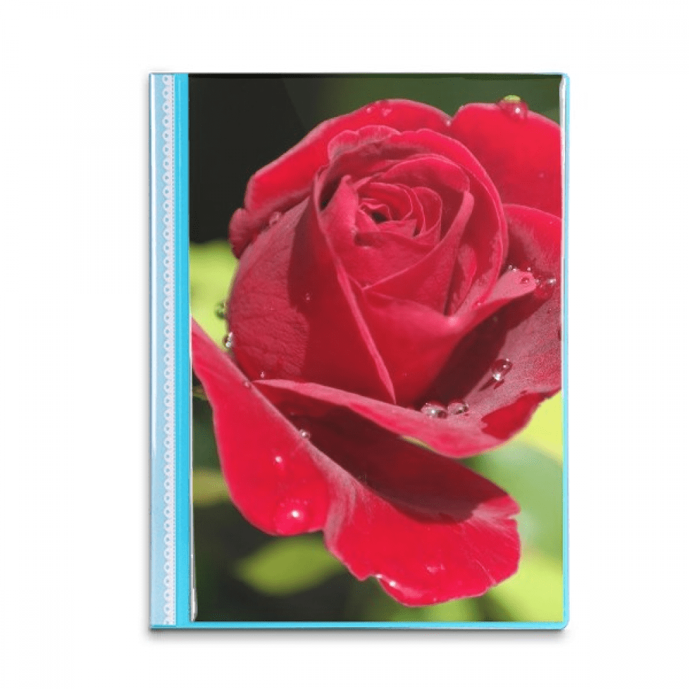 Dark Red Roses Flowers Art Deco Fashion Book Sheet Protectors Portfolio ...