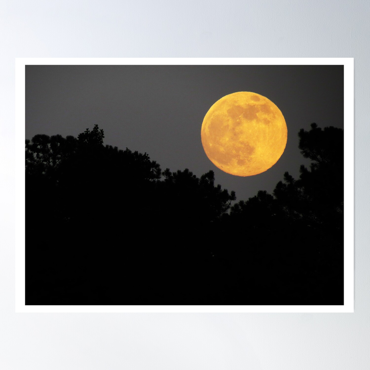 Dark Sacred Night Poster Wall Art, Modern Wall Decor, 12x18 UNFRAMED ...