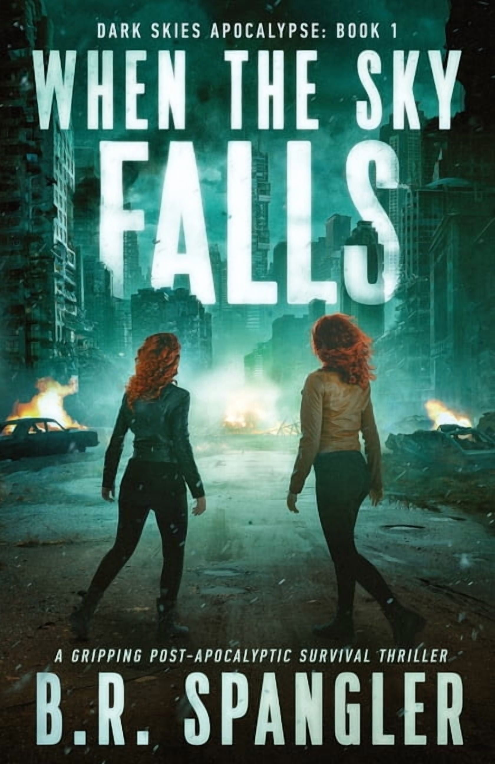 Dark Skies Apocalypse When the Sky Falls: A gripping post-apocalyptic ...