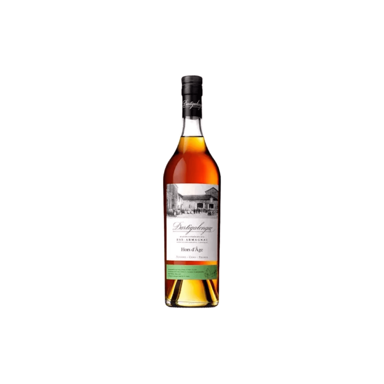 Dartigalongue Bas Armagnac Hors D'Age Brandy, 750 ml 40% ABV - Walmart.com