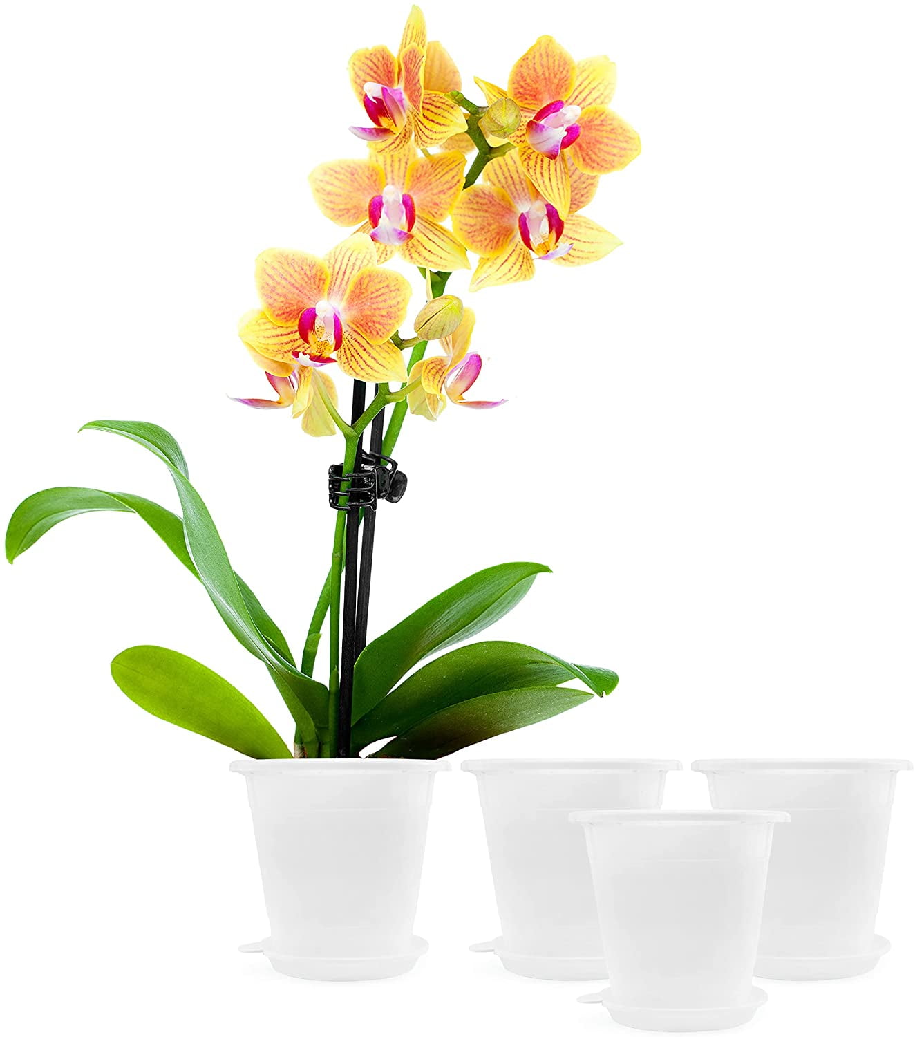 Darware Orchid Pot Sets (4-Pack); Mesh Interior, Exterior Pot, Tray, 12 ...
