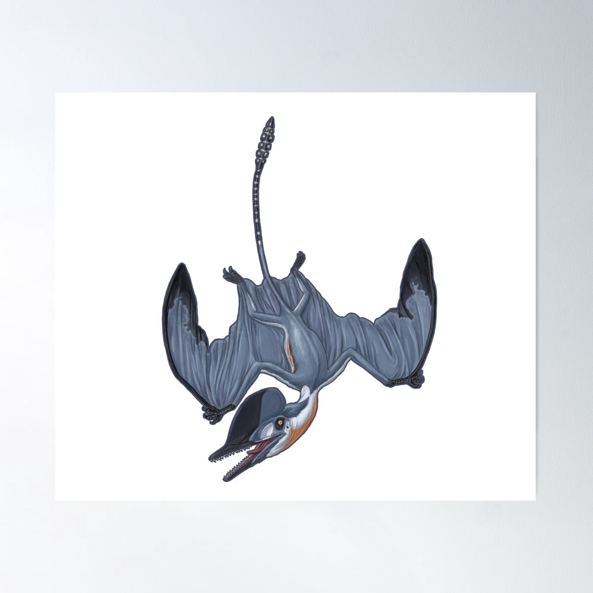 Darwinopterus Robustodens Poster Wall Art, Modern Wall Decor For Living ...