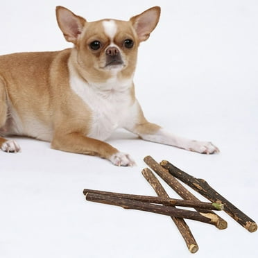 Vitakraft Crunch Sticks Hamster Treat - Peanut and Honey - Hamster Chew ...