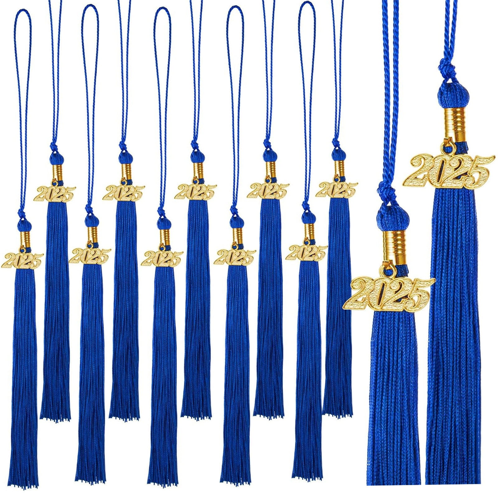 Darzheoy 2025 Graduation Tassel, Graduation Cap Tassel 2025, 2025 ...