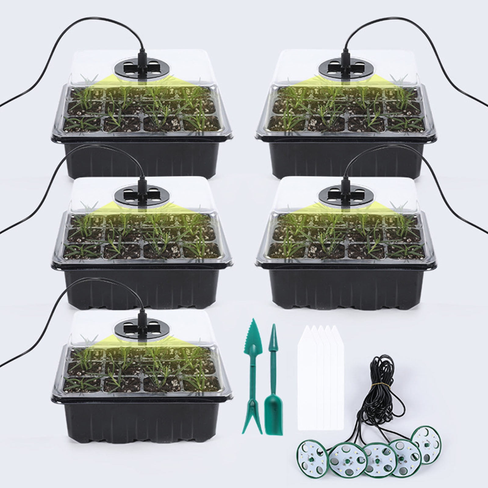 Darzheoy 5 Packs Seed Starter Trays with Grow Light, Seeding Starter ...