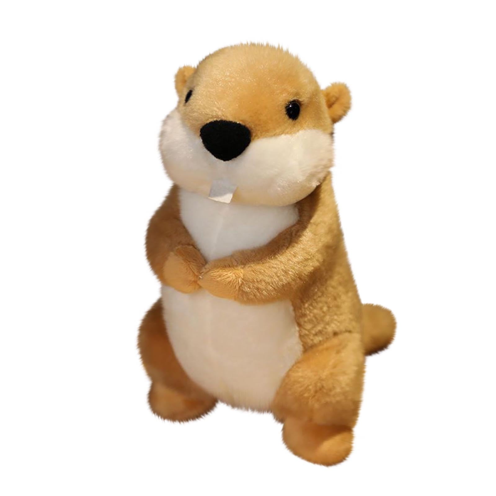 Darzheoy Artificial Groundhog Plush Toy, Cute Real Life Groundhog ...