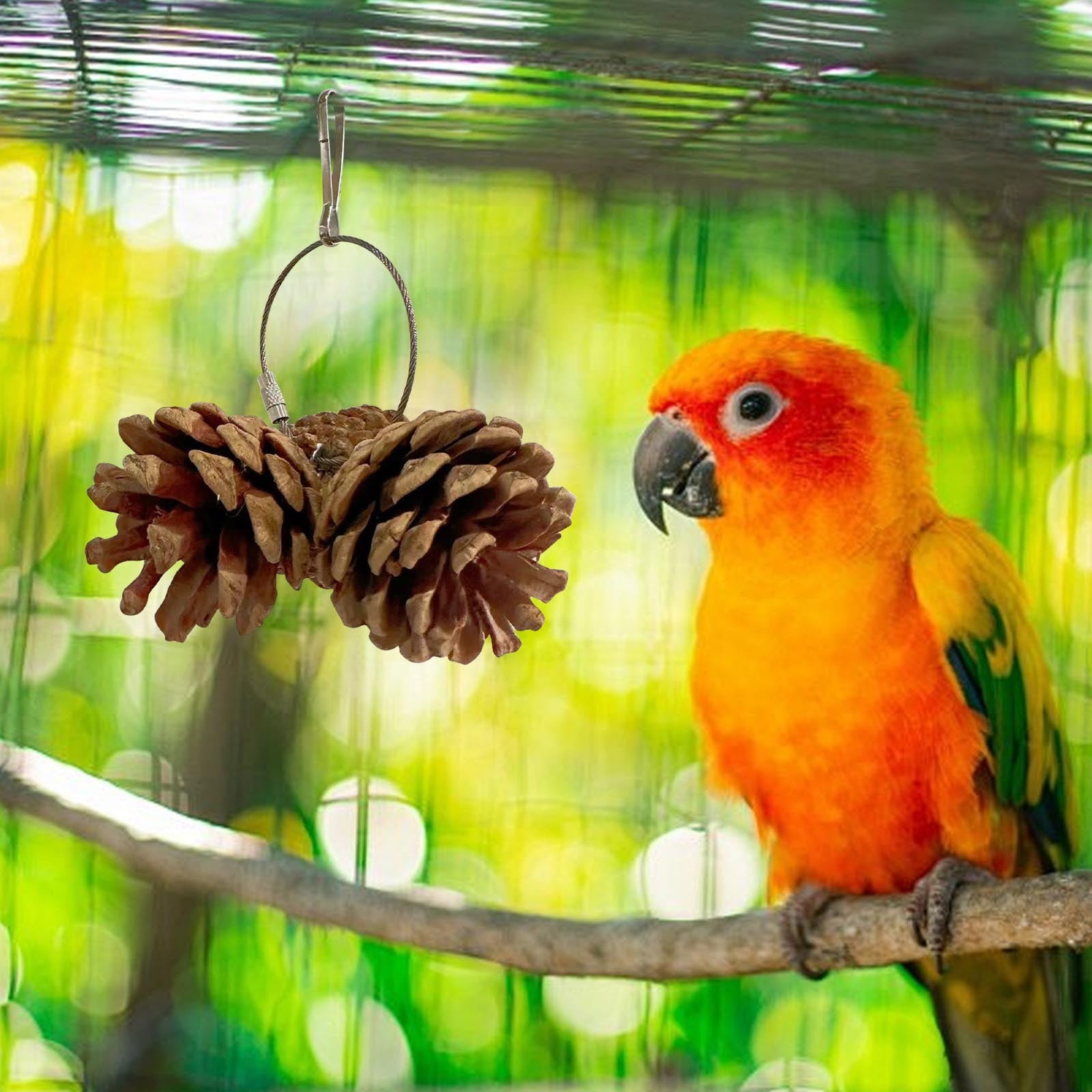 Darzheoy Bird Toys Parrot Toys, Bird Chewing Toy with Pine Cones for ...