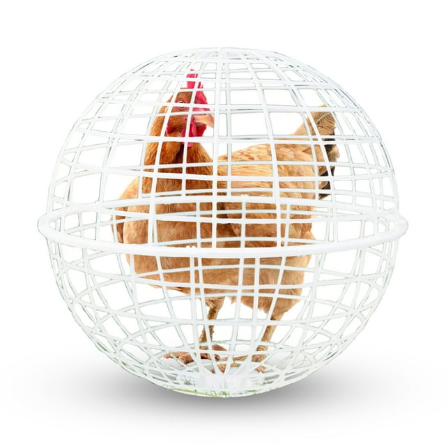 Darzheoy Chicken Ball Cage Rolling Orb Mobile Poultry Enclosure Round ...