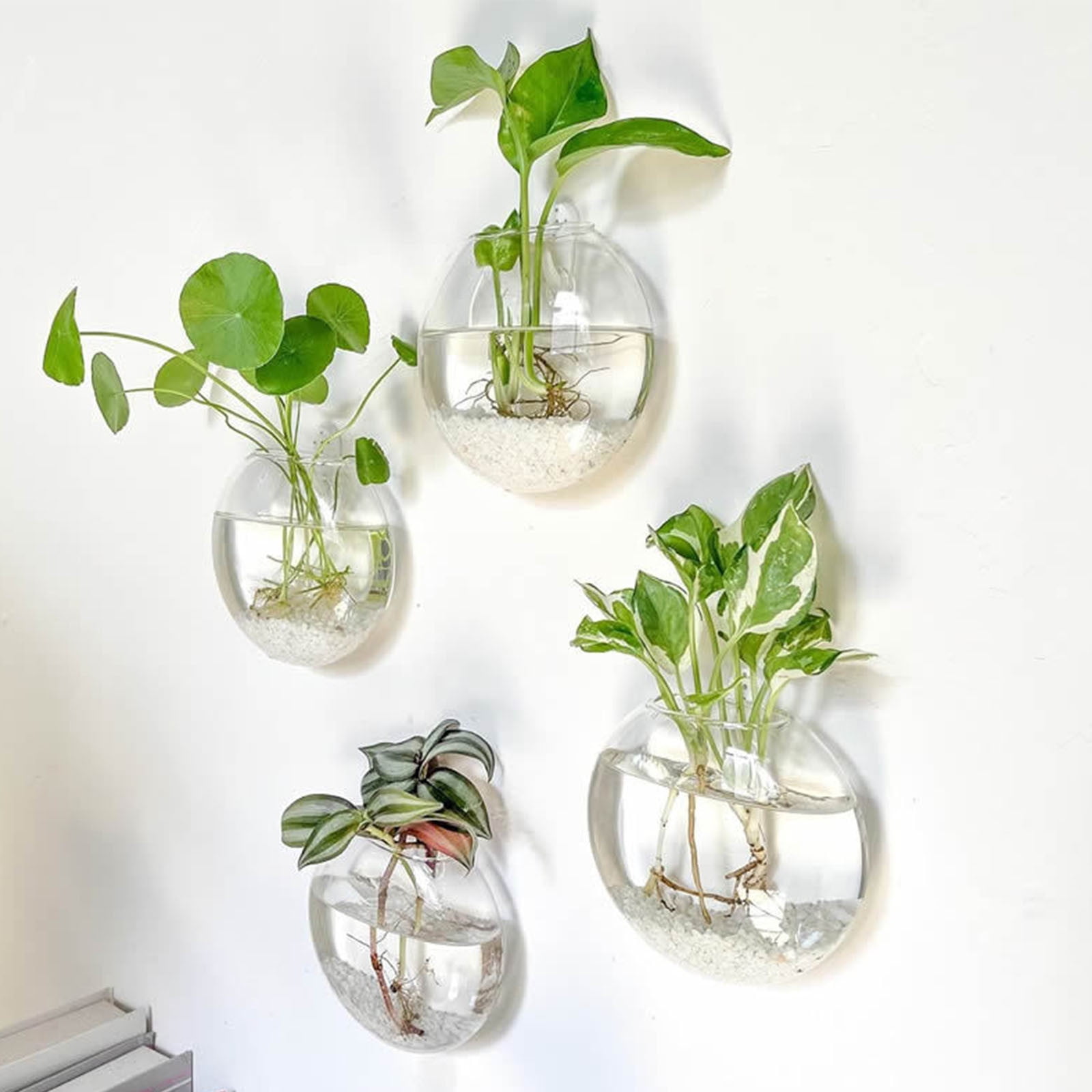 Darzheoy Glass Wall Hanging Planter Terrariums, Hanging Wall Vases ...