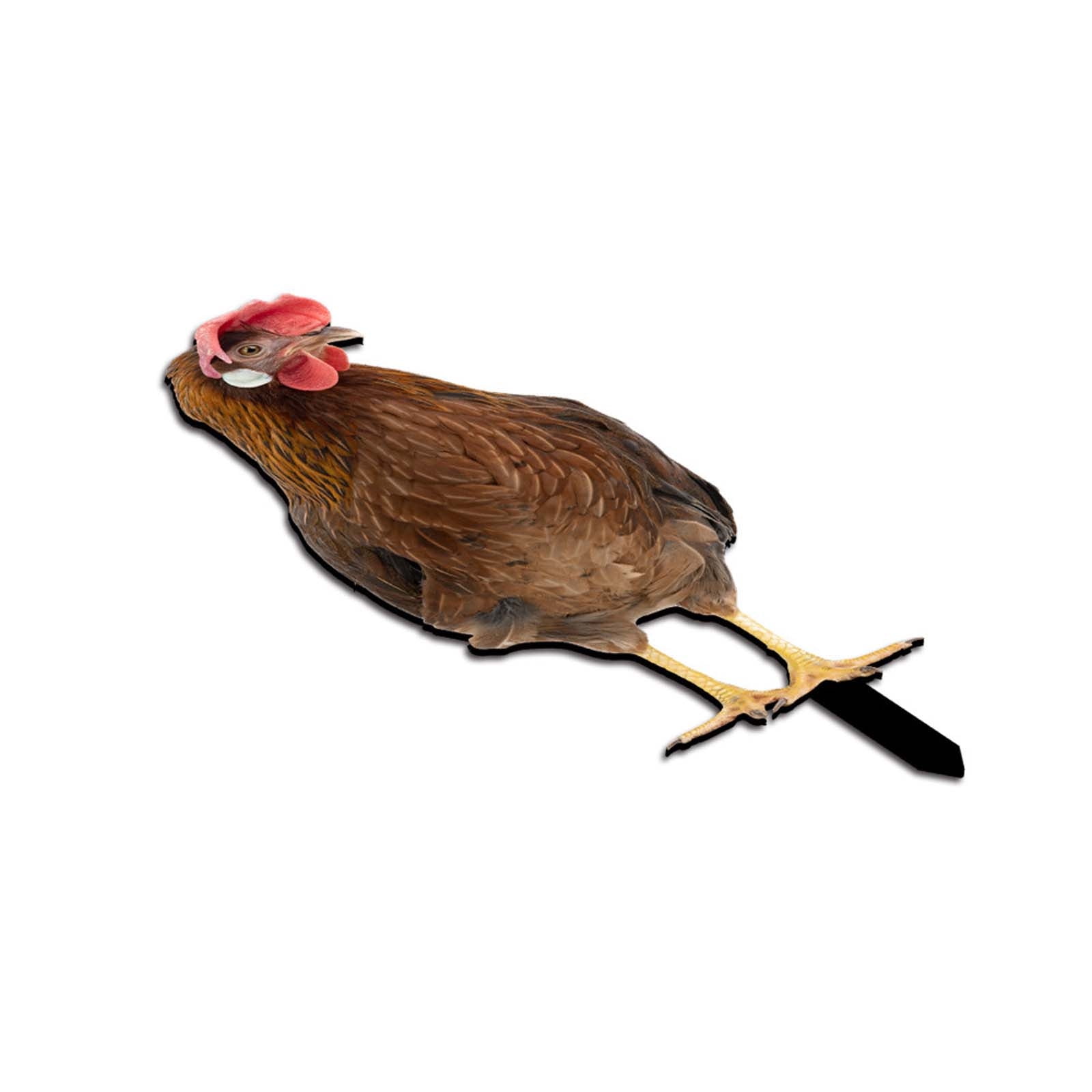 Darzheoy Hen Chick Ground Plug Yard Decor Yard Sign Simulation Chicken ...