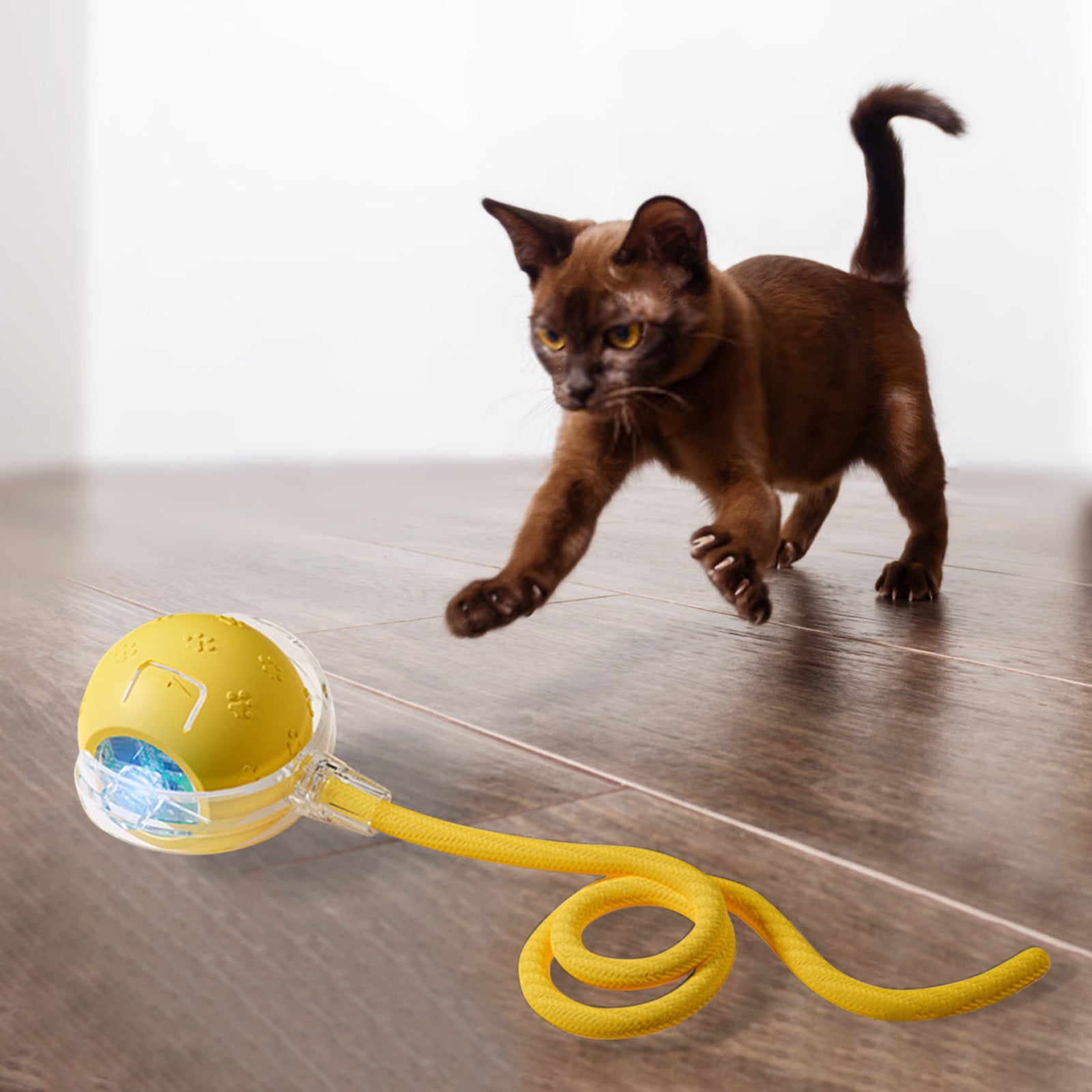 Darzheoy Interactive Cat Toys Ball, Motion Activate Electric Cat Toy ...