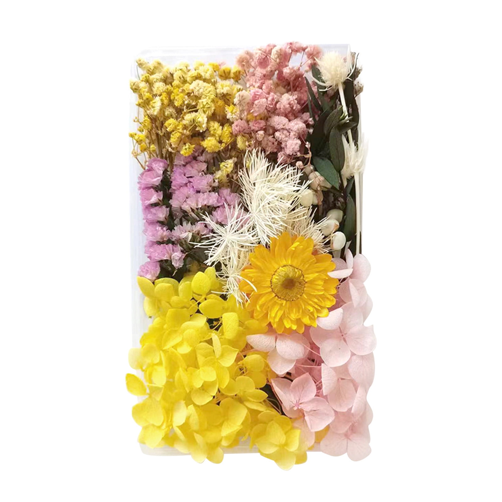 Darzheoy Real Dried Pressed Flowers - Dired Flowers for Crafts - Resin ...