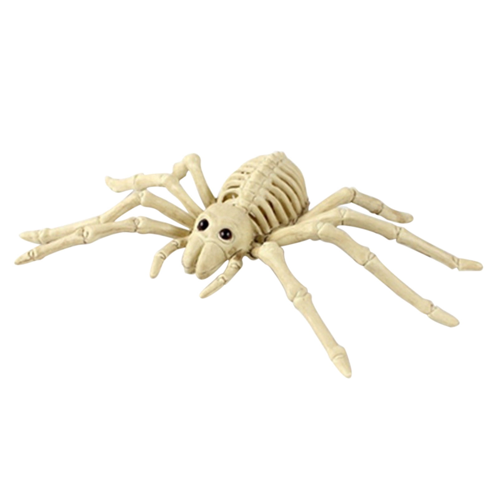 Darzheoy Skeleton Bones Snake Resin Spider Snake Skeleton Model for ...