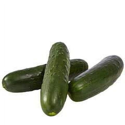 Dasher II Hybrid Cucumber Seeds, 25 Seeds Per Packet, Non GMO Seeds ...