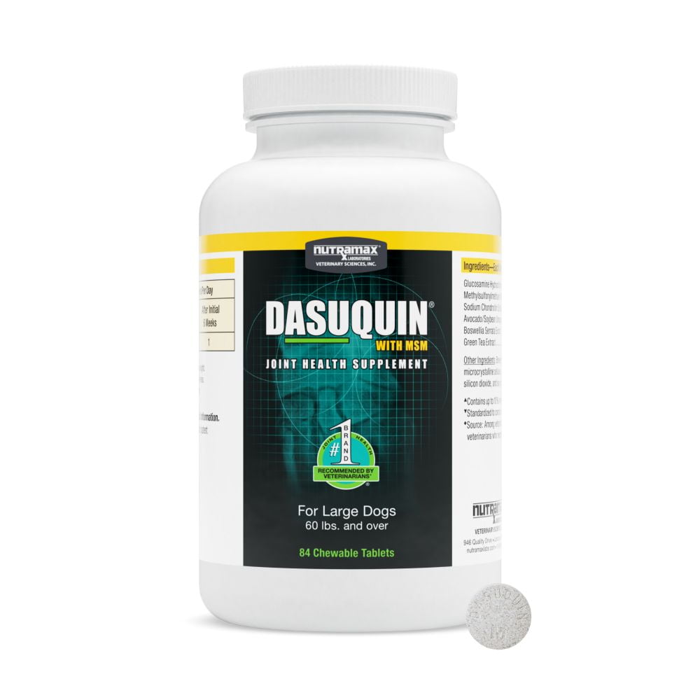 Dasuquin MSM Joint Care Supplement with Glucosamine for Large Dogs ...