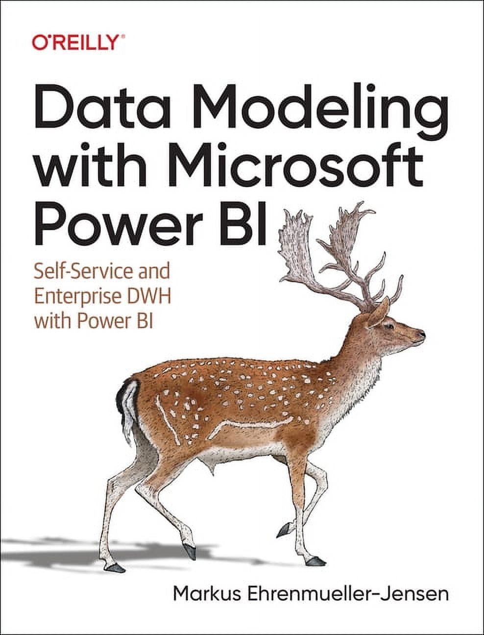Data Modeling with Microsoft Power Bi: Self-Service and Enterprise Dwh with Power Bi (Paperback ...