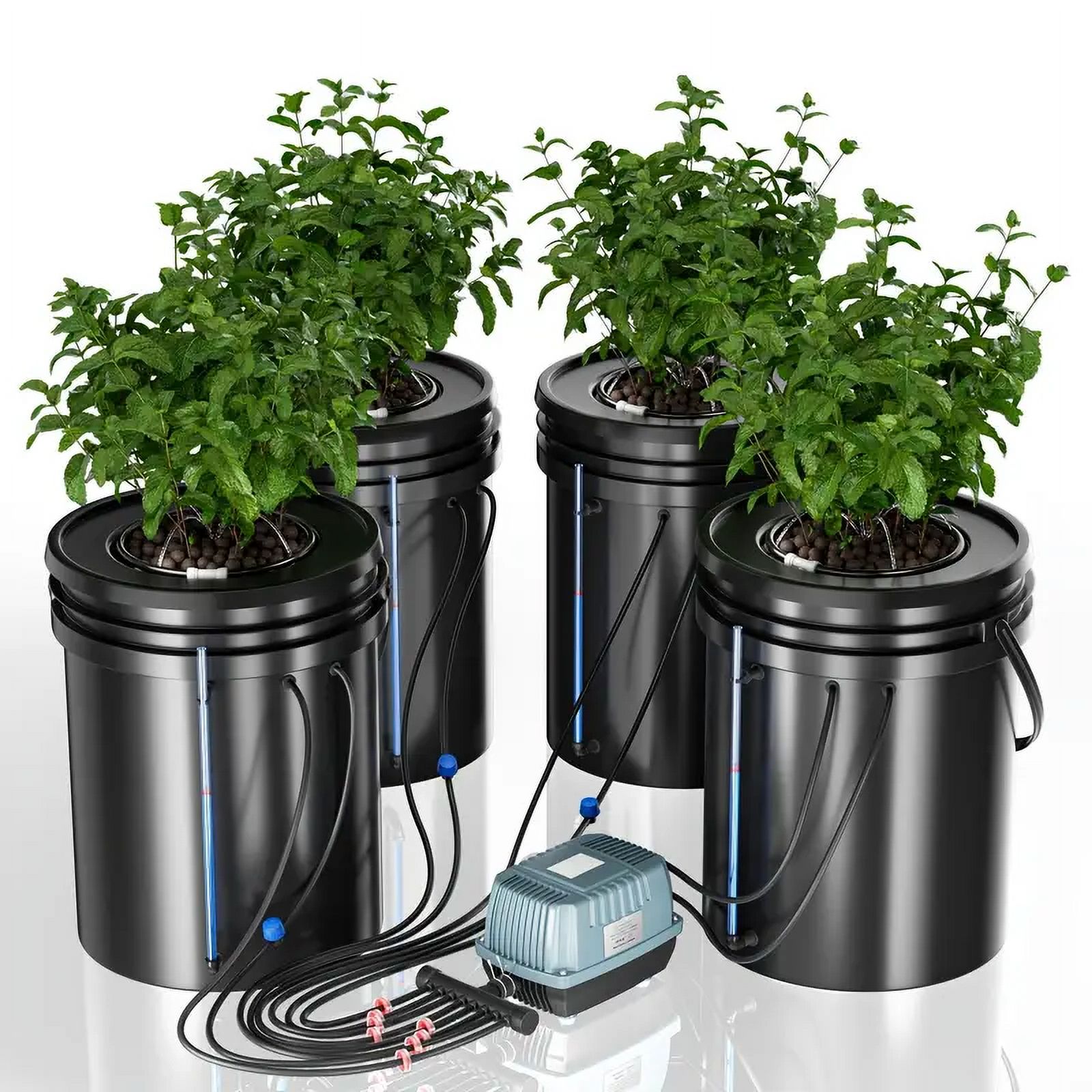 Datingday 3 Buckets DWC Hydroponics Grow System 5 Gallon Deep Water Culture with Air Pump, Multi ...