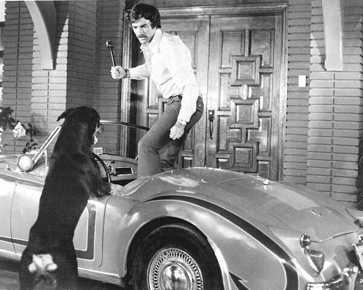 Daughters of Satan 1972 Tom Selleck stands up in MG A 1600 Roadster 8x10 photo - Walmart.com
