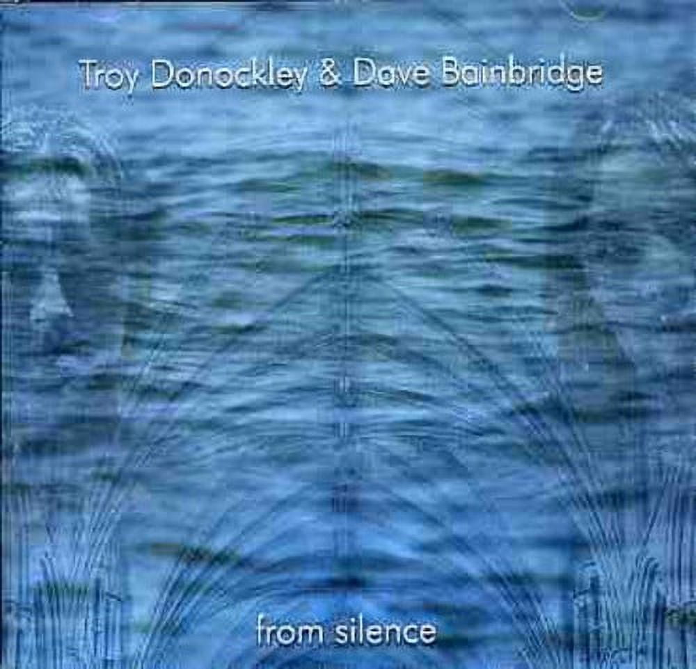 Dave Bainbridge - From Silence - Music & Performance - CD - Walmart.com
