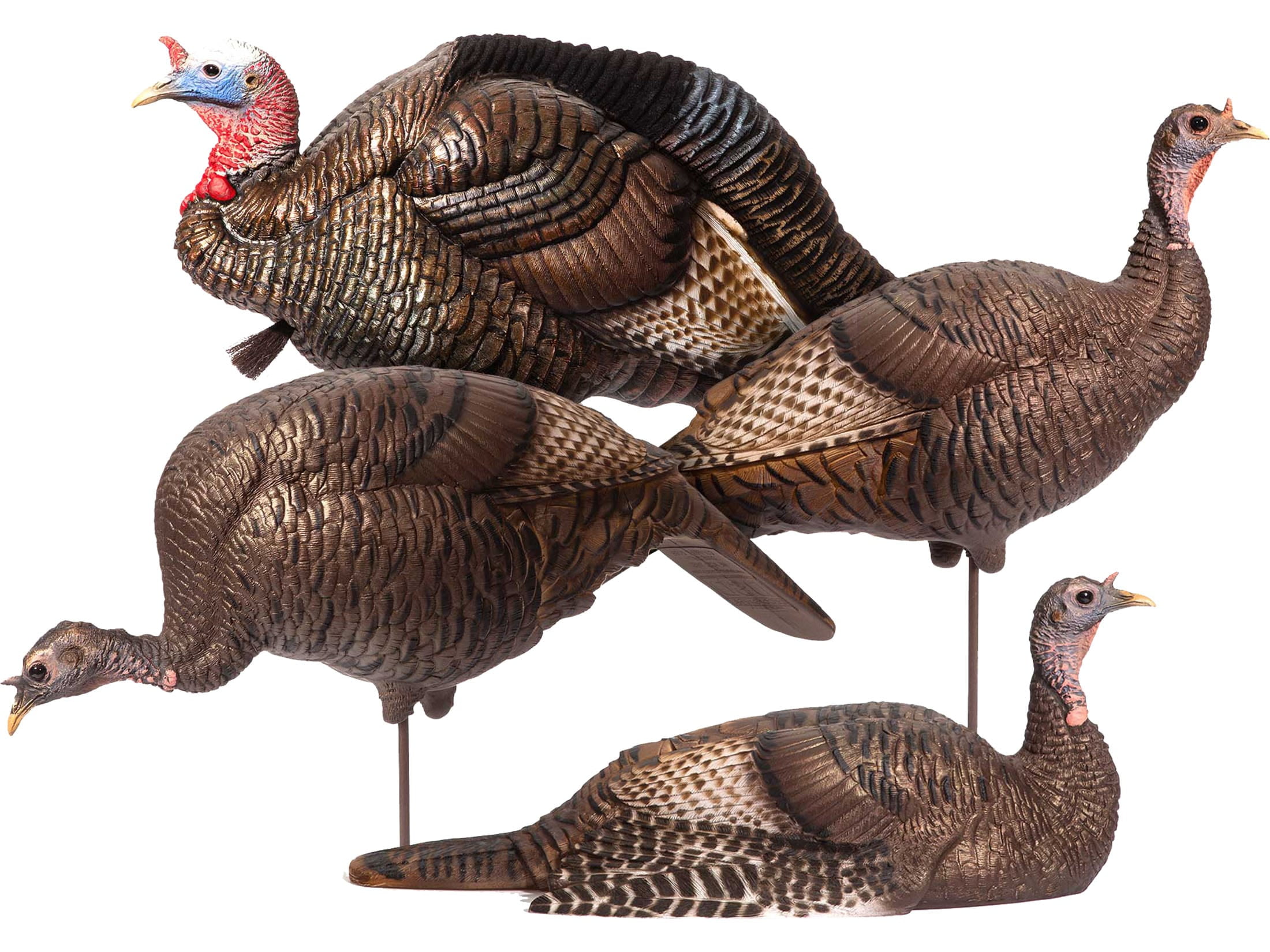 Dave Smith Decoys DSD Turkey Flock Turkey Decoys - Walmart.com