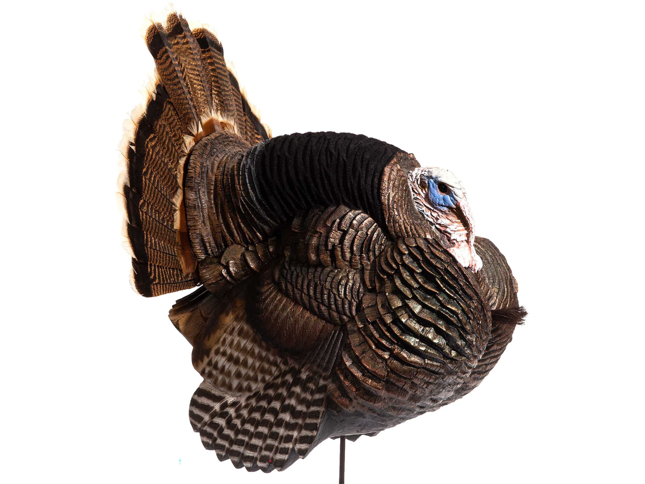 Dave Smith Decoys DSD Jake Strutter White Face Turkey Decoy - Walmart.com