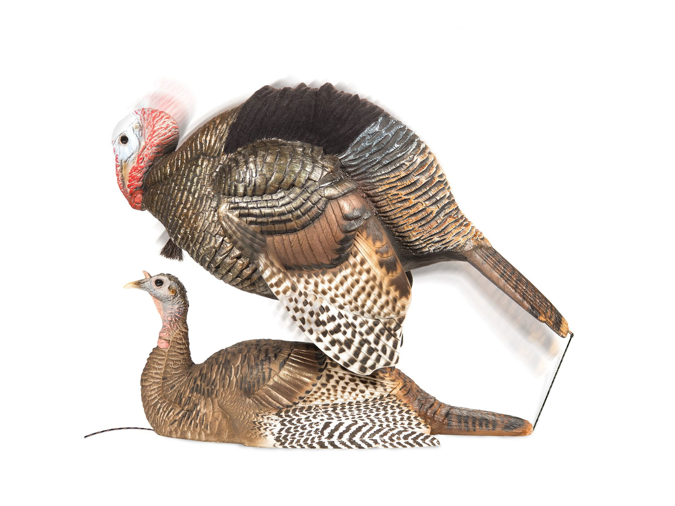 Dave Smith Decoys DSD Mating Motion Pair Turkey Decoys - Walmart.com