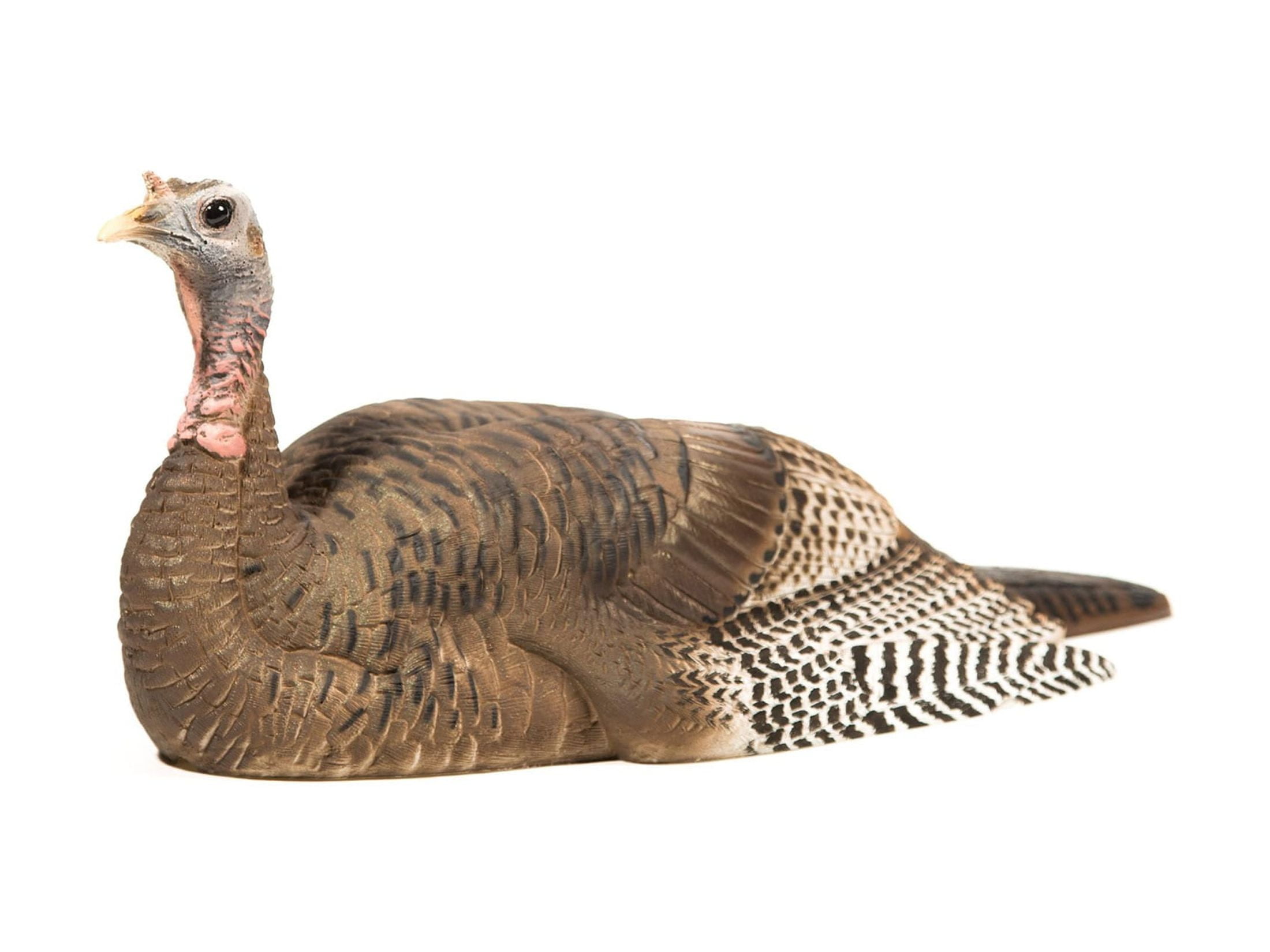 Dave Smith Decoys DSD Mating Hen Turkey Decoy - Walmart.com
