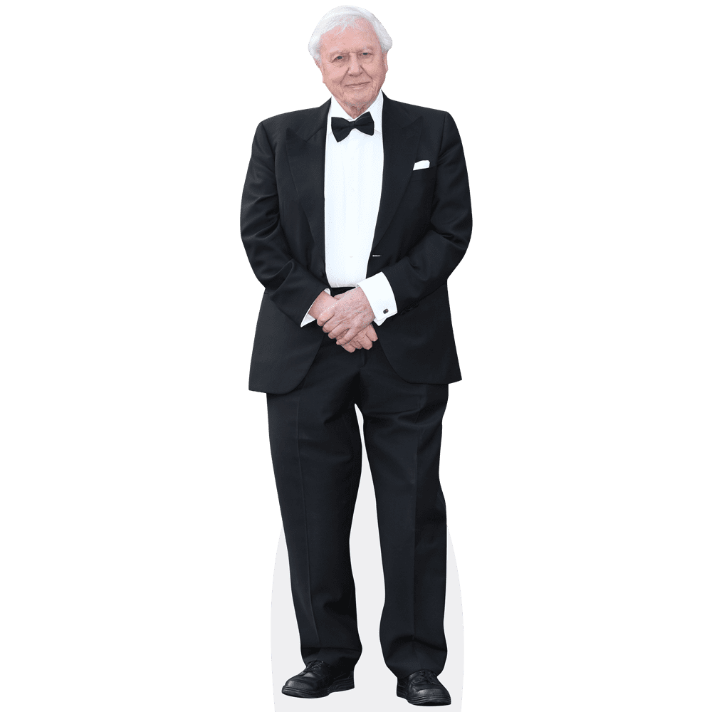 David Attenborough (Bow Tie) Lifesize Cardboard Cutout Standee ...