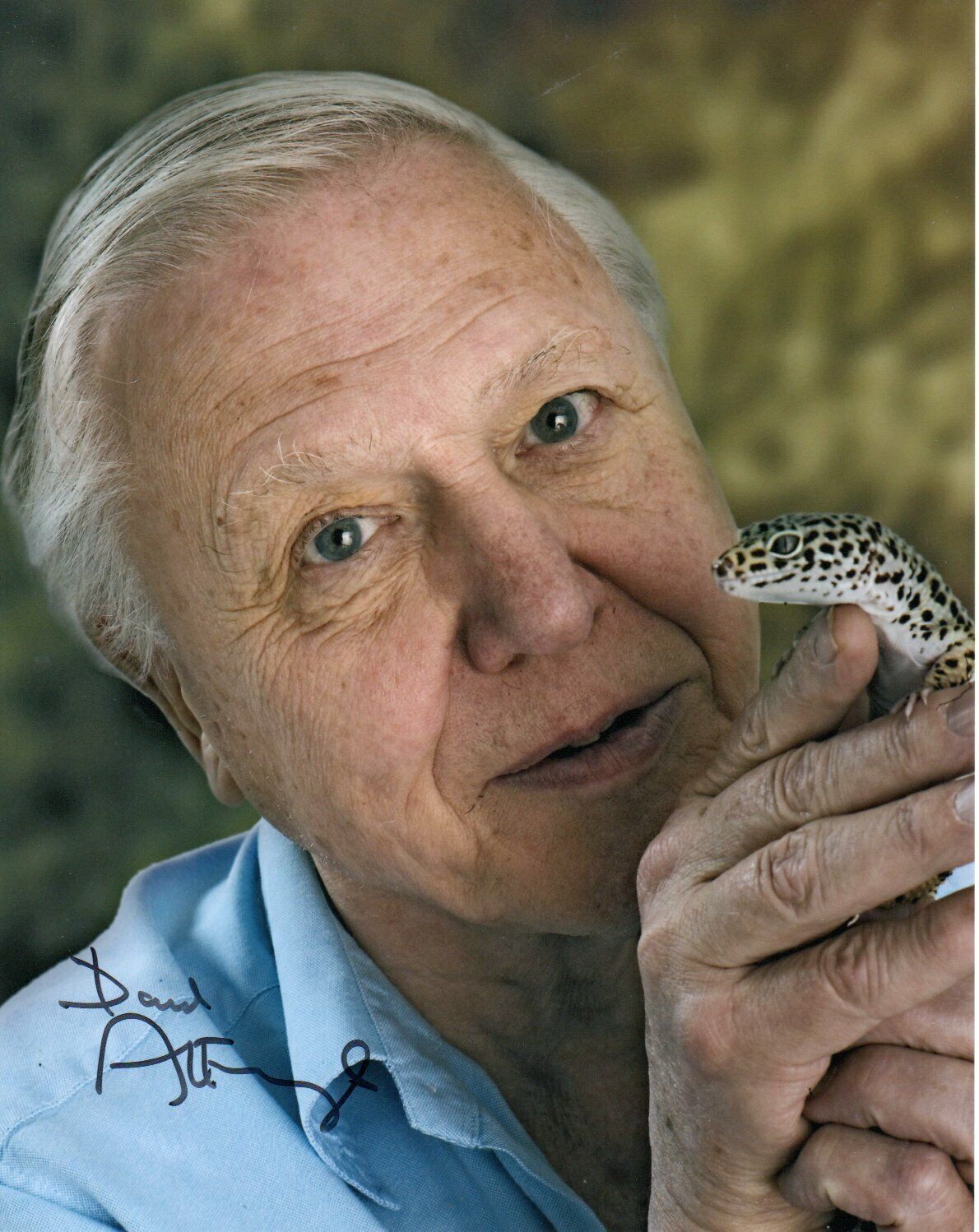 David Attenborough HAND Signed 10x8' Photo Poster paintinggraph Naturalist Broadcaster Autograph ...