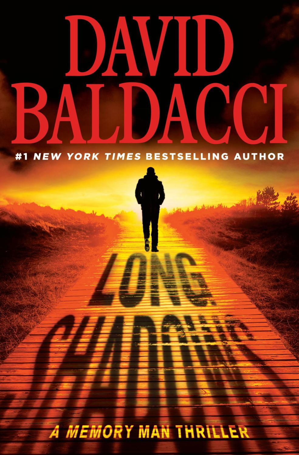 Long Shadows (Paperback) - Walmart.com