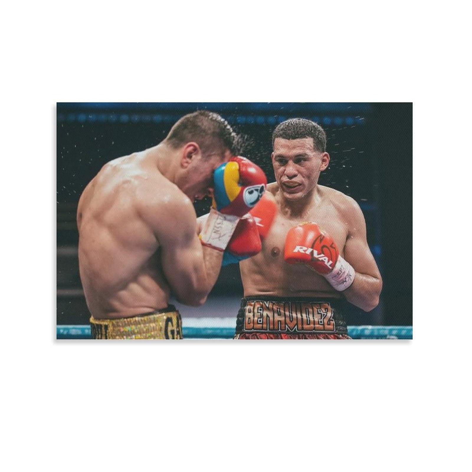 David Benavidez Canvas Poster Wall Art Poster Gifts Bedroom Prints Home ...