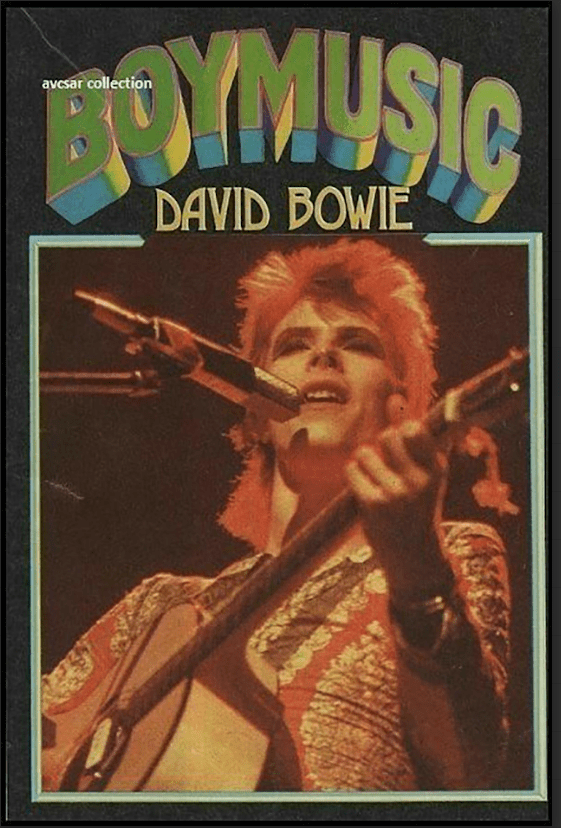 David Bowie Poster 24x36 - Iconic Music Legend, Influential Rock Star ...