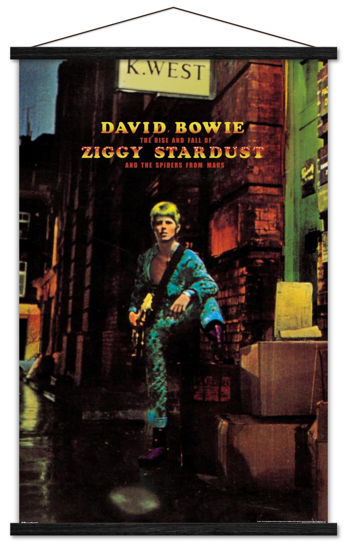 David Bowie - Rise and Fall of Ziggy Stardust Wall Poster with Magnetic ...