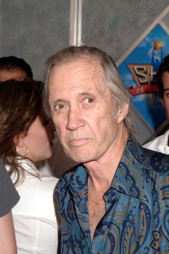 David Carradine, Family At Arrivals For Sky High Premiere, El Capitan ...