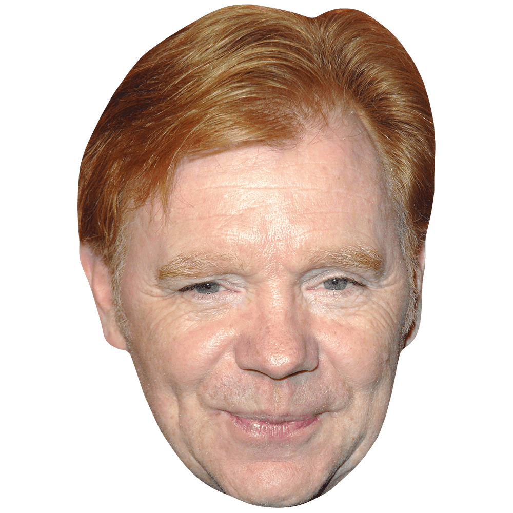 David Caruso (Smile) Flat Cardboard Face - Walmart.com