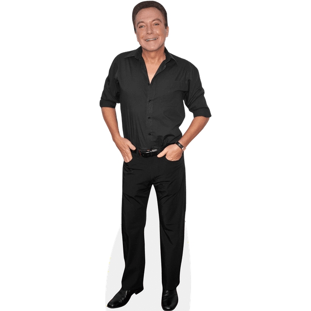 David Cassidy Black Outfit Lifesize Cardboard Cutout Standee