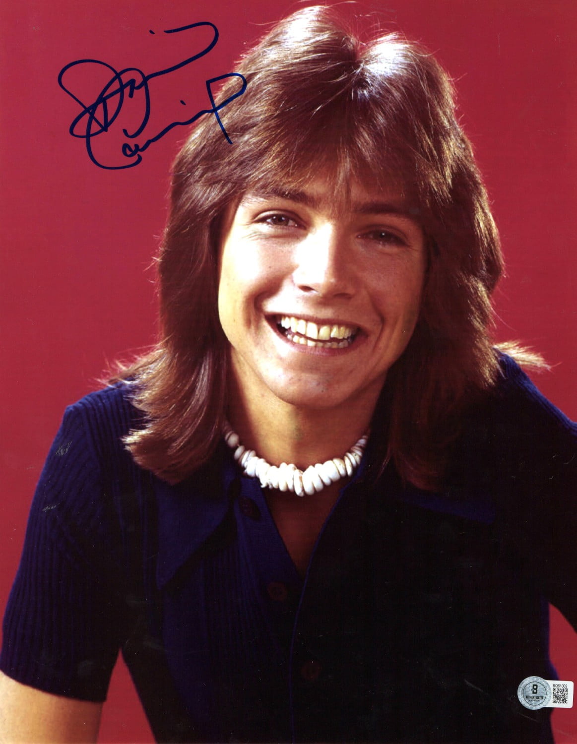 David Cassidy Signed Autographed 11X14 Photo The Partridge Family BAS ...