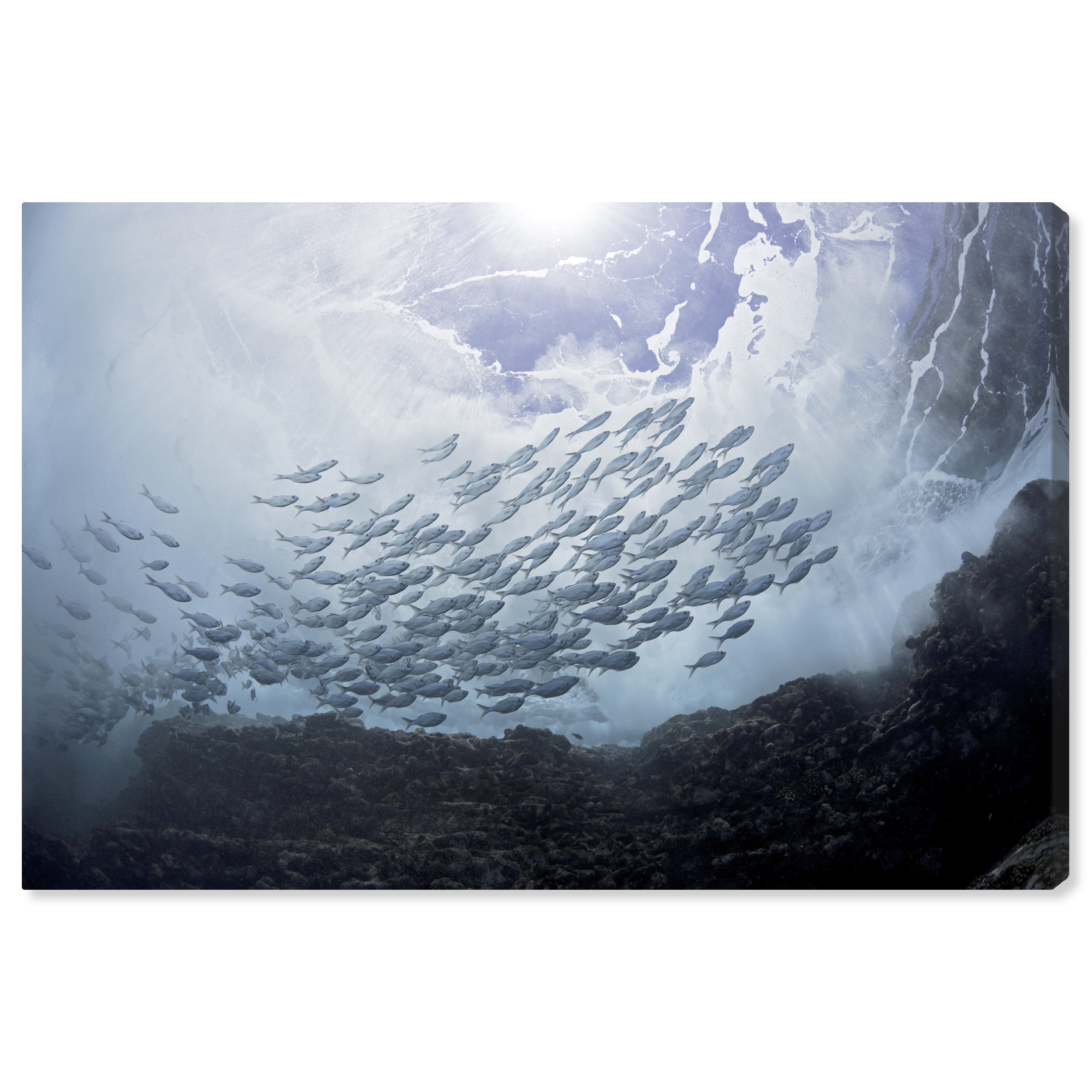 David Fleetham-Hawaiian Flagtails Under Sea Real Life Photography Canvas Wall Art by Notoriart ...
