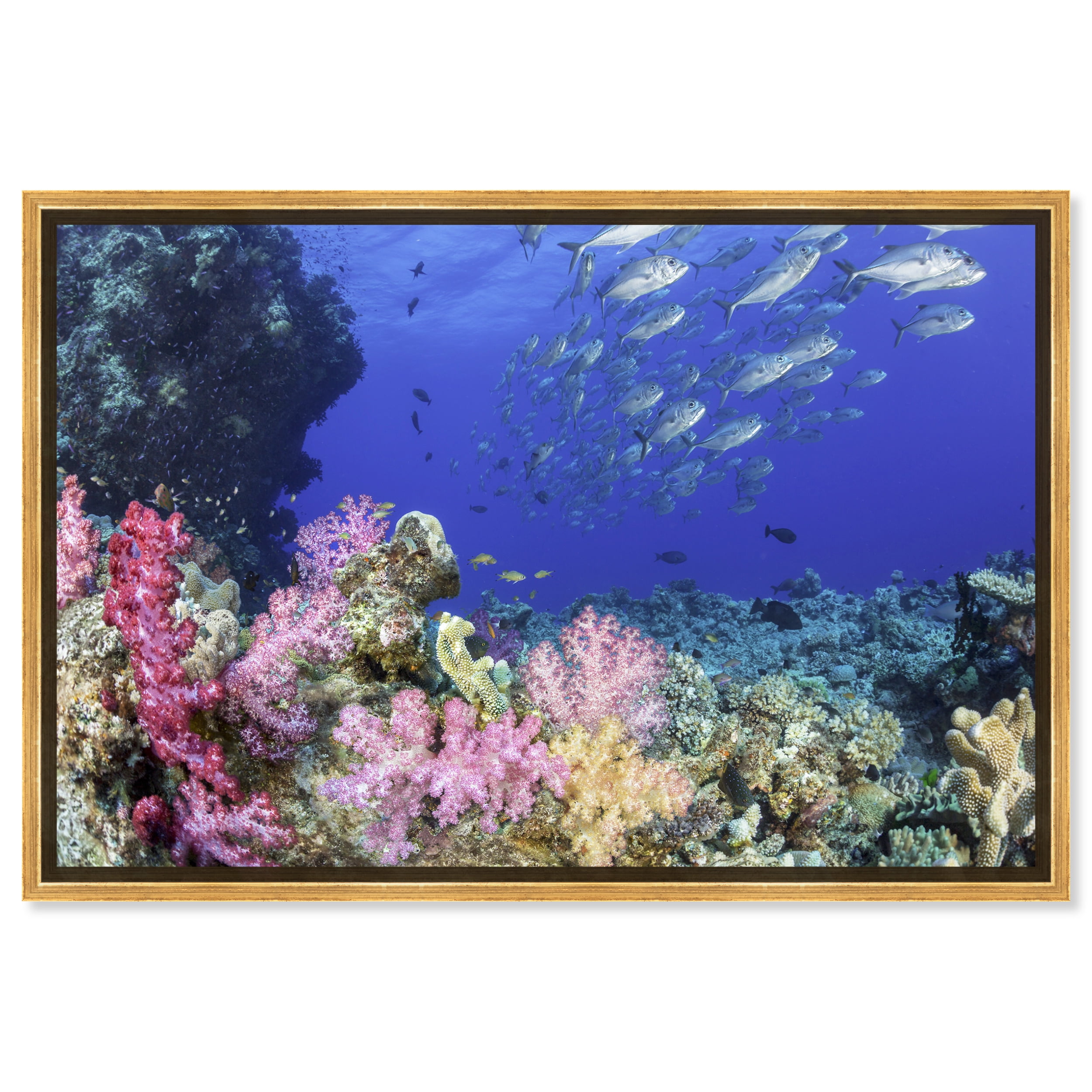 David Fleetham-Reef Scene With Schooling Bigeye Jacks Real Life ...