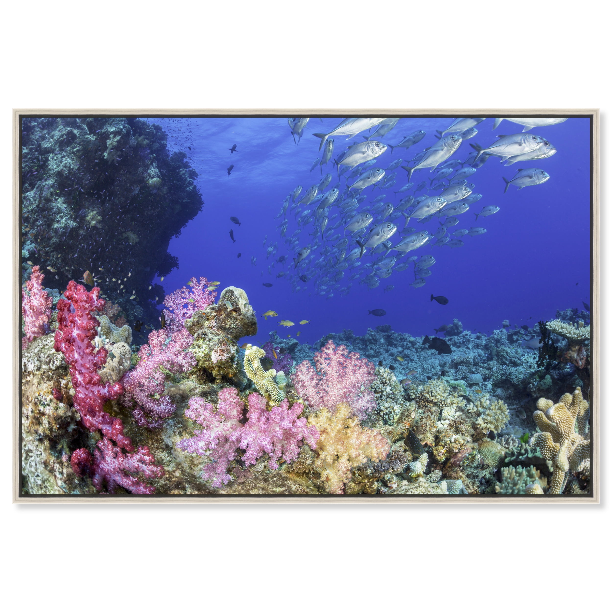David Fleetham-Reef Scene With Schooling Bigeye Jacks Real Life Photography Canvas Wall Art by ...