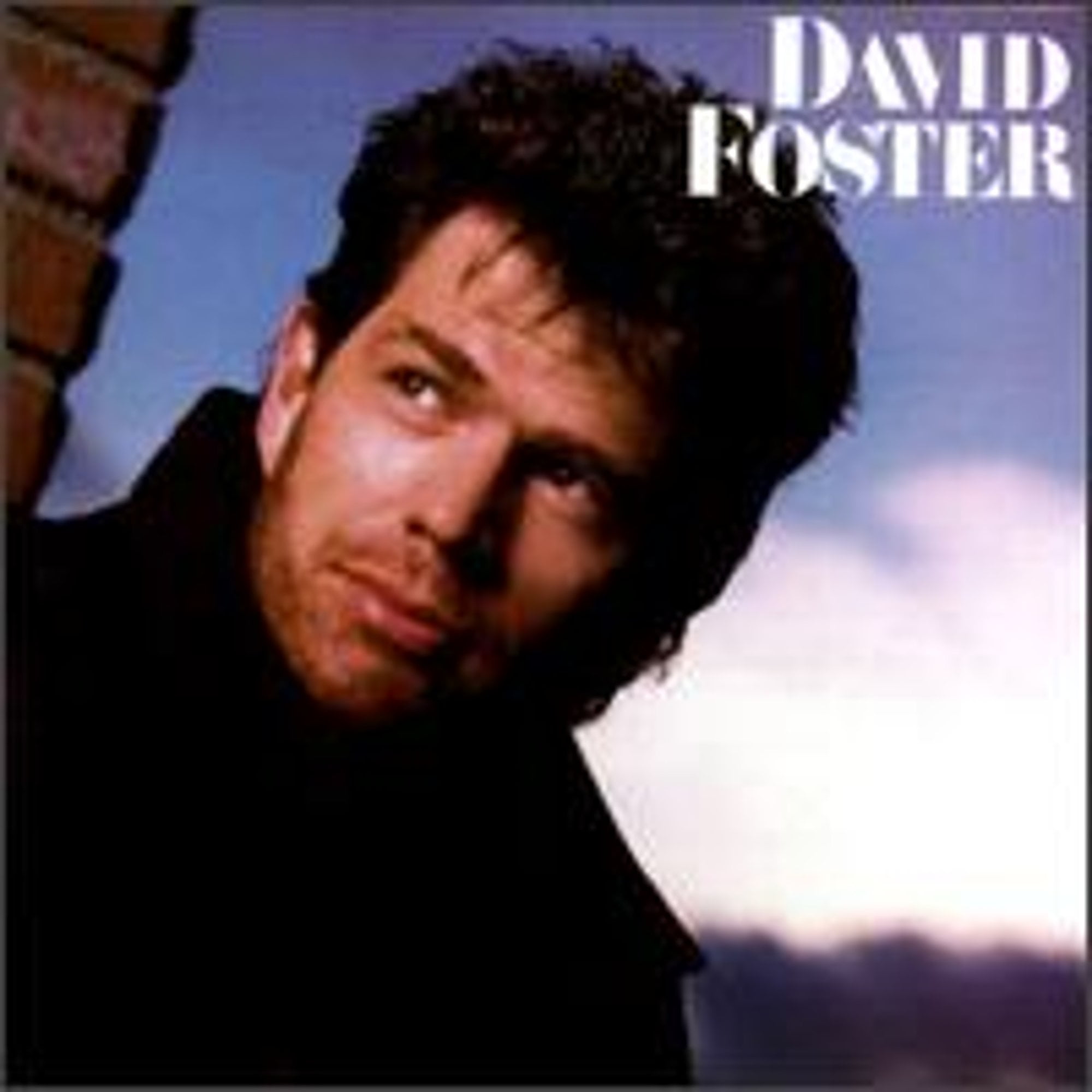 Pre-Owned David Foster (CD 0075678164224) by David Foster - Walmart.com