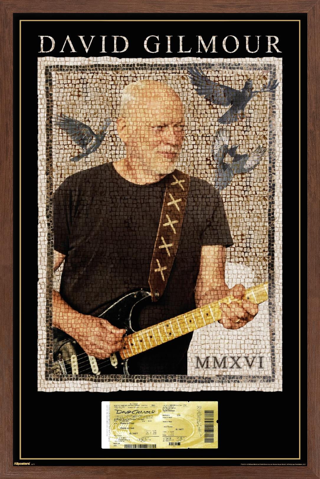 David Gilmour - Pompeii Mozaic Wall Poster, 22.375" x 34" Framed ...