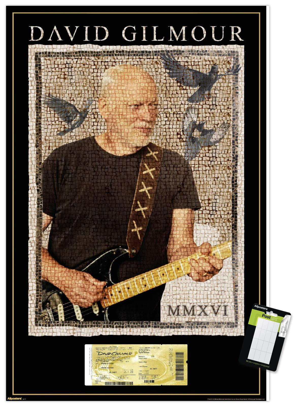 David Gilmour - Pompeii Mozaic Wall Poster, 22.375" x 34" - Walmart.com