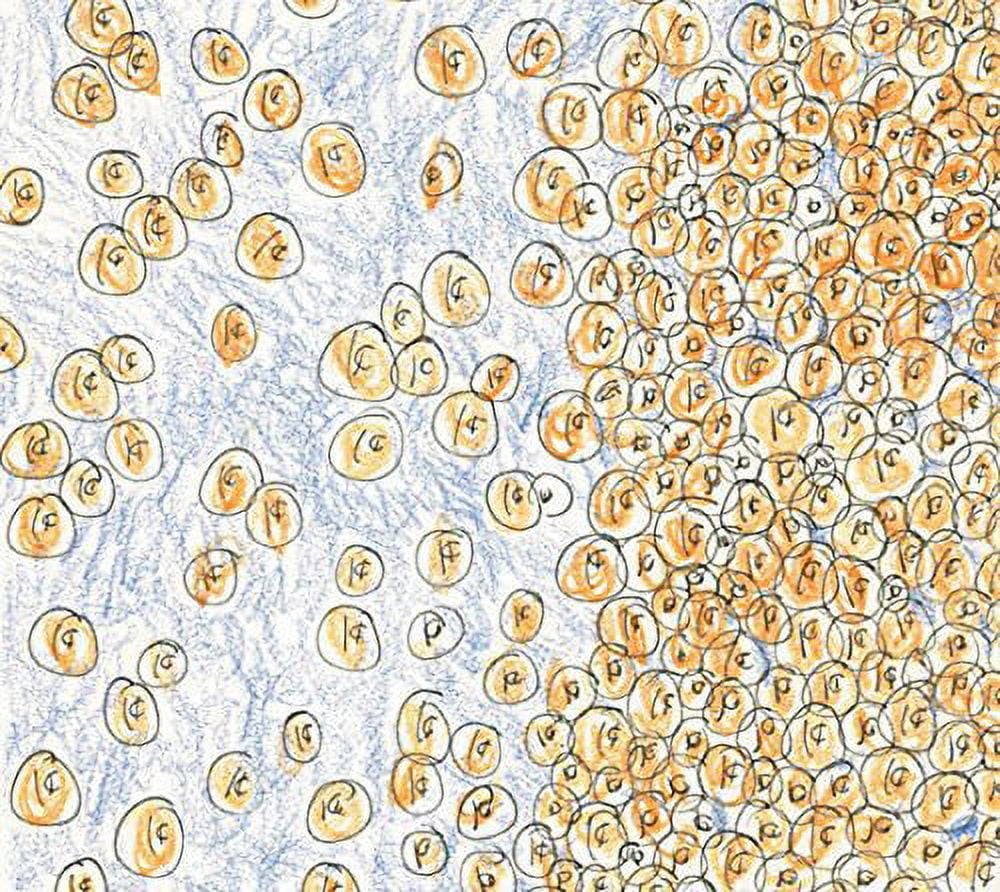 David Greenberger & Dozens - Greenberger, David & Dozens : Near the ...