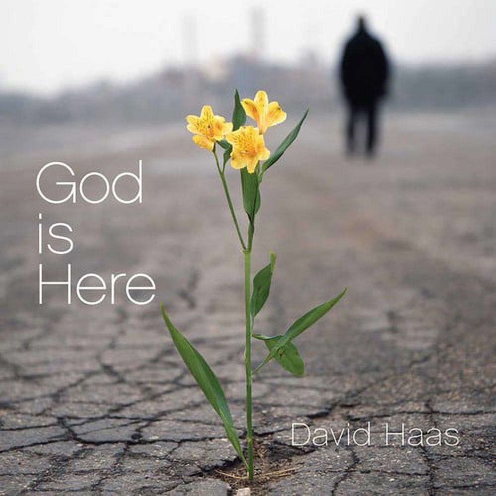 David Haas - God Is Here - Special Interest - CD - Walmart.com
