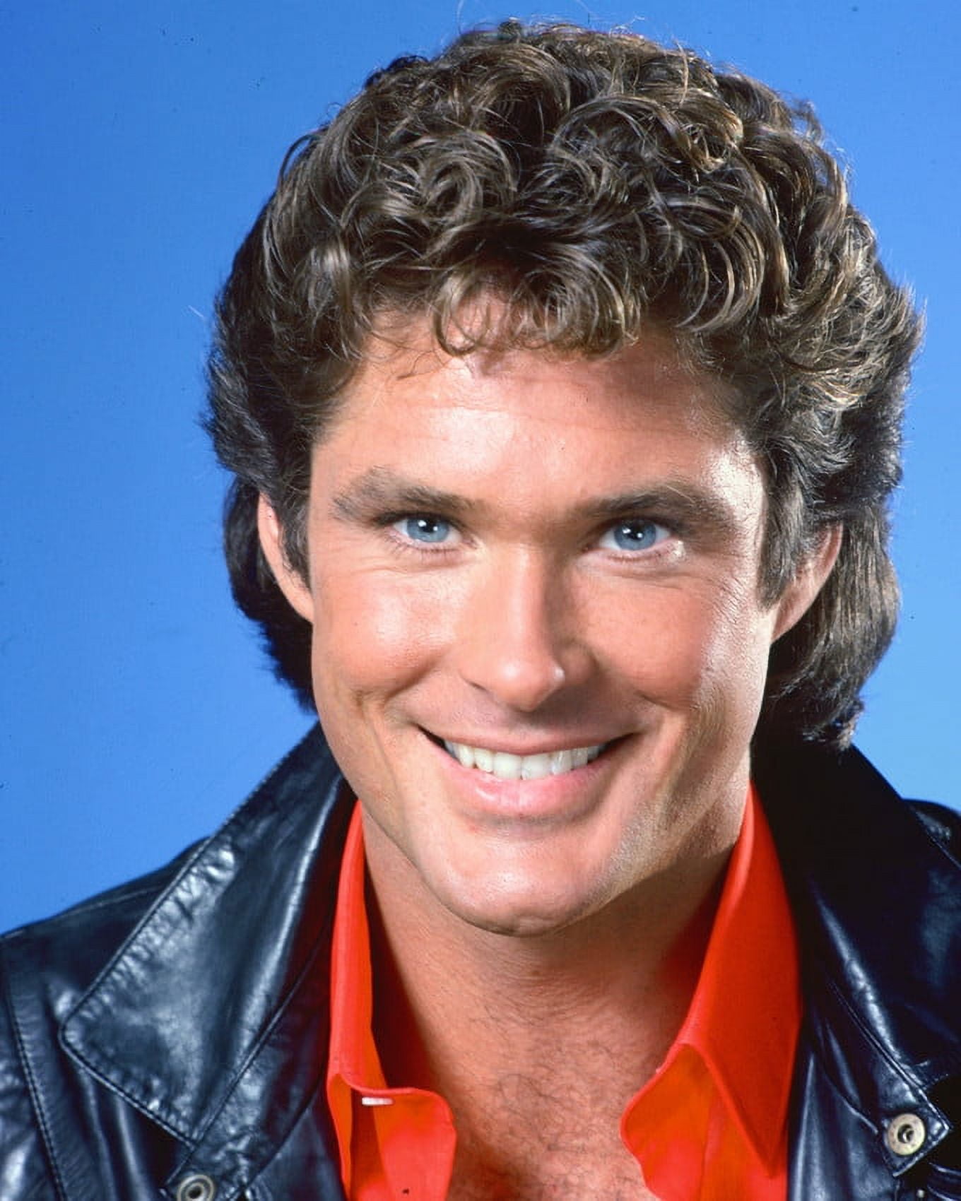 David Hasselhoff Knight Rider 24x36 Classic Hollywood Poster - Walmart.com