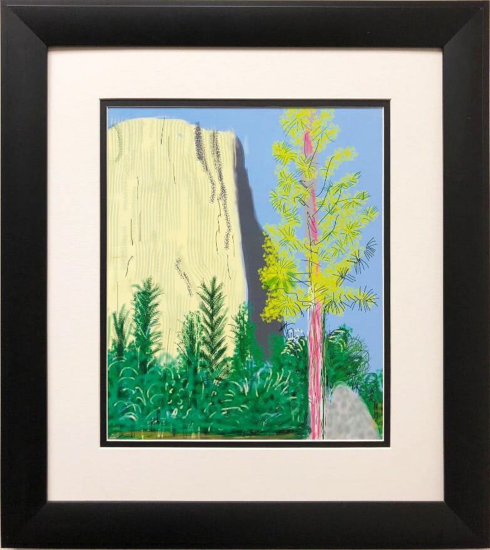David Hockney "El Capitan Yosemite " NEWLY CUSTOM FRAMED Book Folio ...